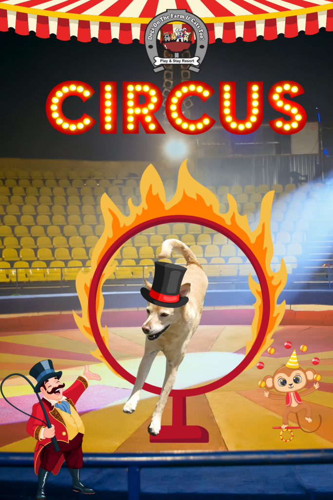 Home New - Dogs on the Farm