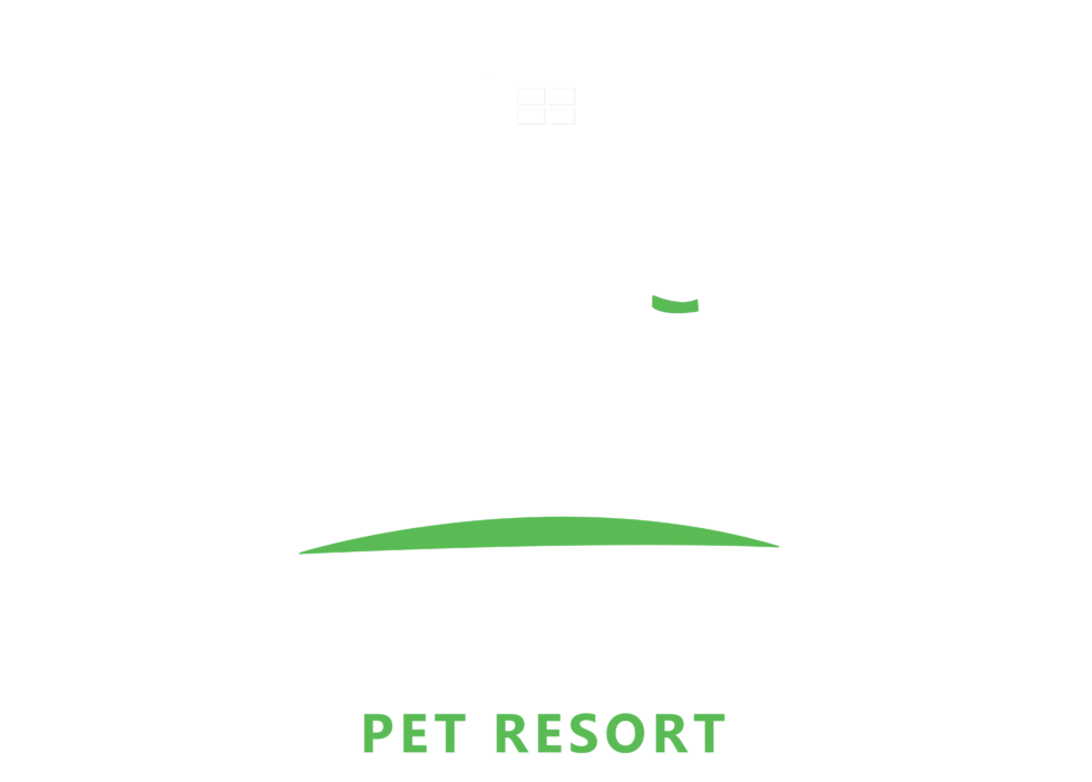 12.24.25 Activities - Frisbees, Snake Stuffer, & Hop Through The Weave ...